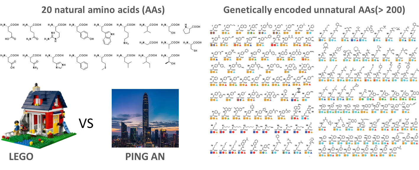 Jie Wang - Faculty Profiles - SUSTech